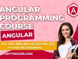 Angular Programming Course Study Trigger